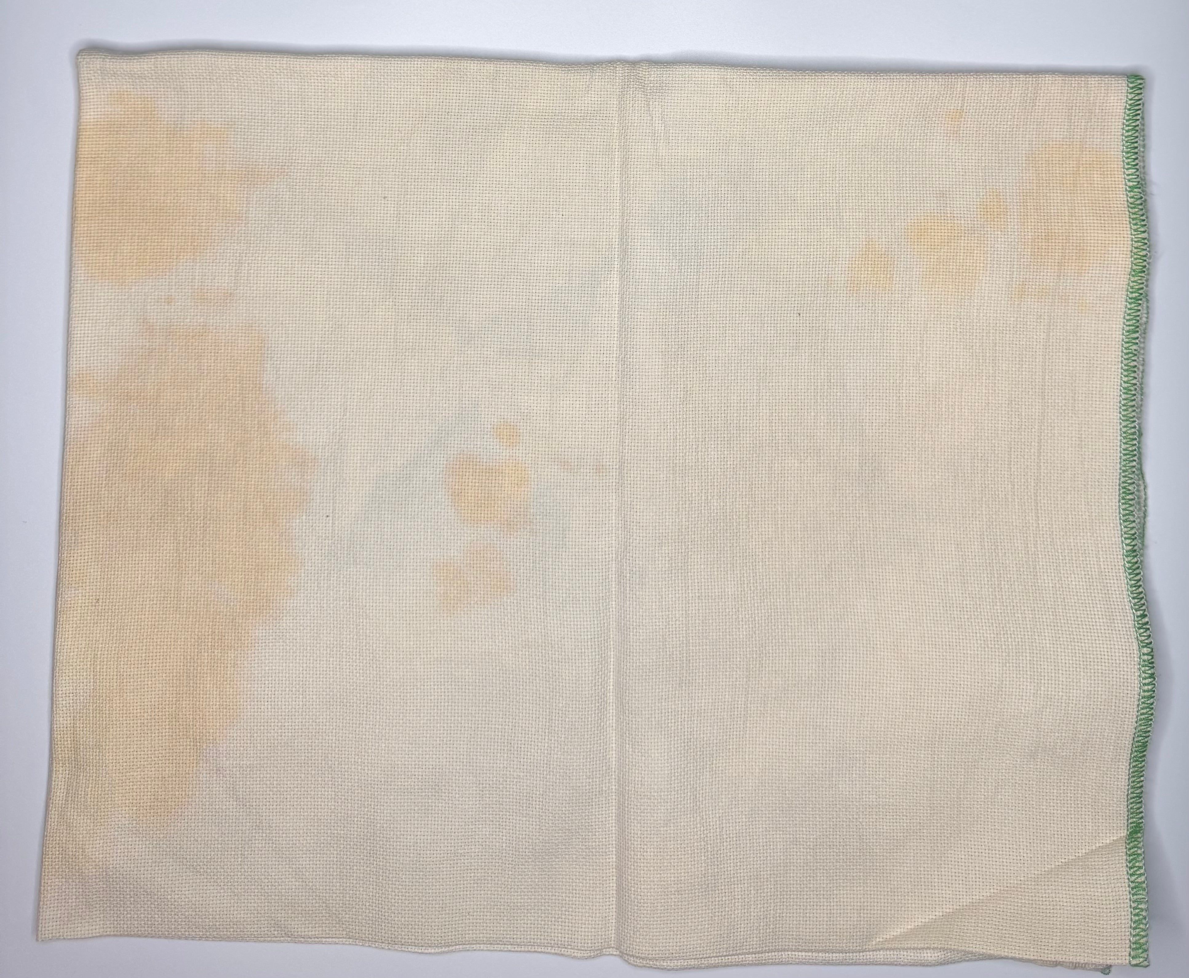 18 Count Aida - Pampas Reed - Atomic Ranch/Rogue Fabric – Bee Youtiful ...